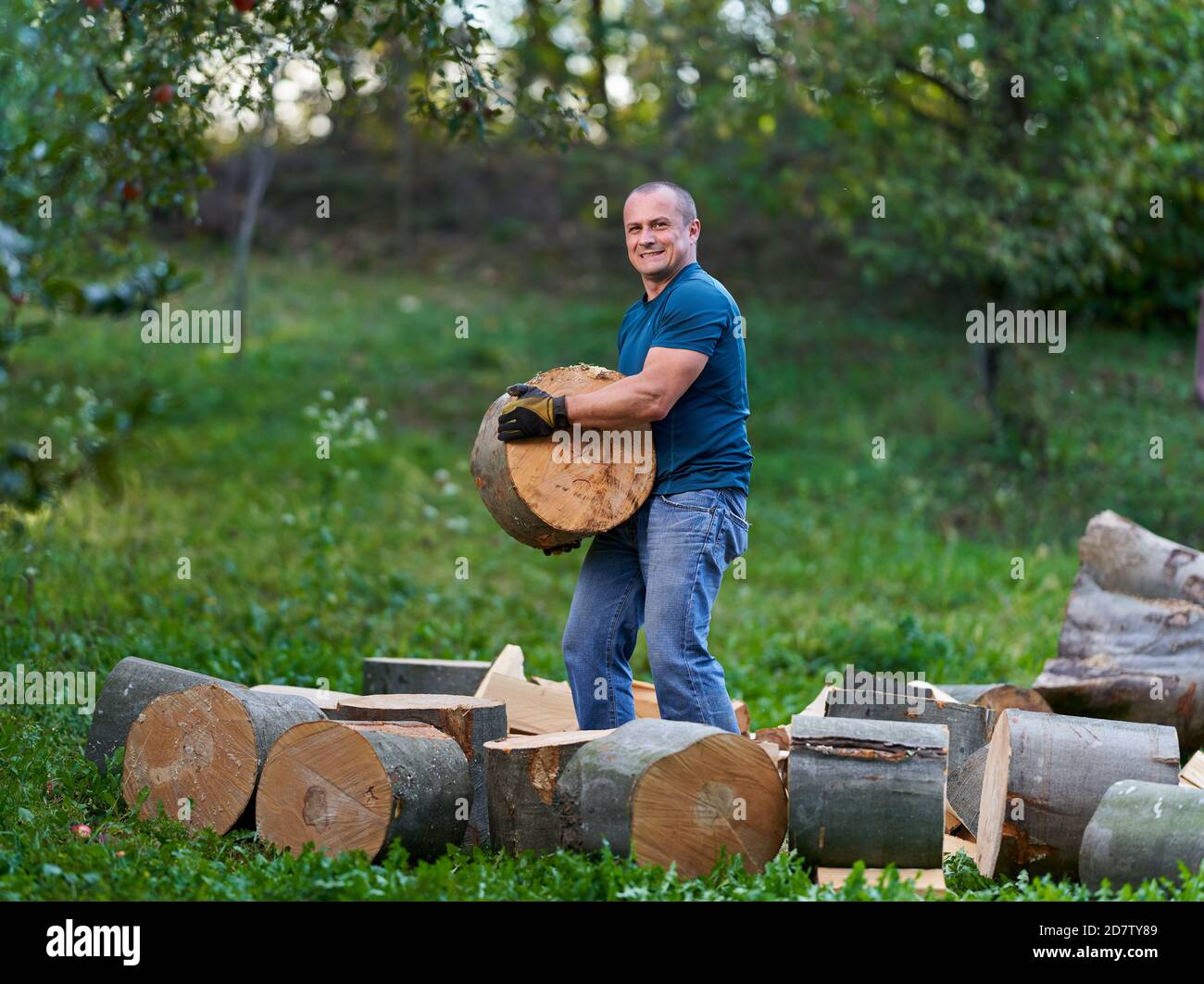 Strong lumberjack manhandling the logs Stock Photo - Alamy