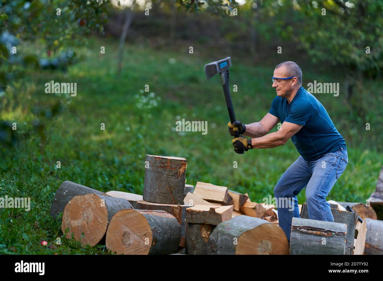 Farmer with big axe splitting beech logs Stock Photo - Alamy