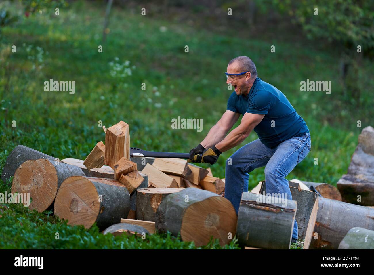 Farmer with big axe splitting beech logs Stock Photo - Alamy