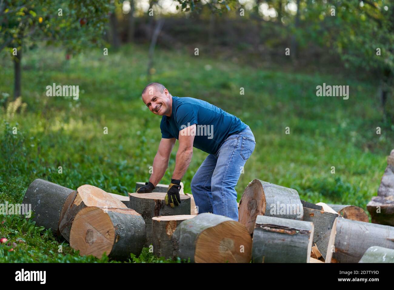 Strong lumberjack manhandling the logs Stock Photo - Alamy