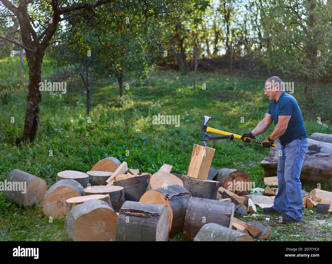 Farmer with big axe splitting beech logs Stock Photo - Alamy