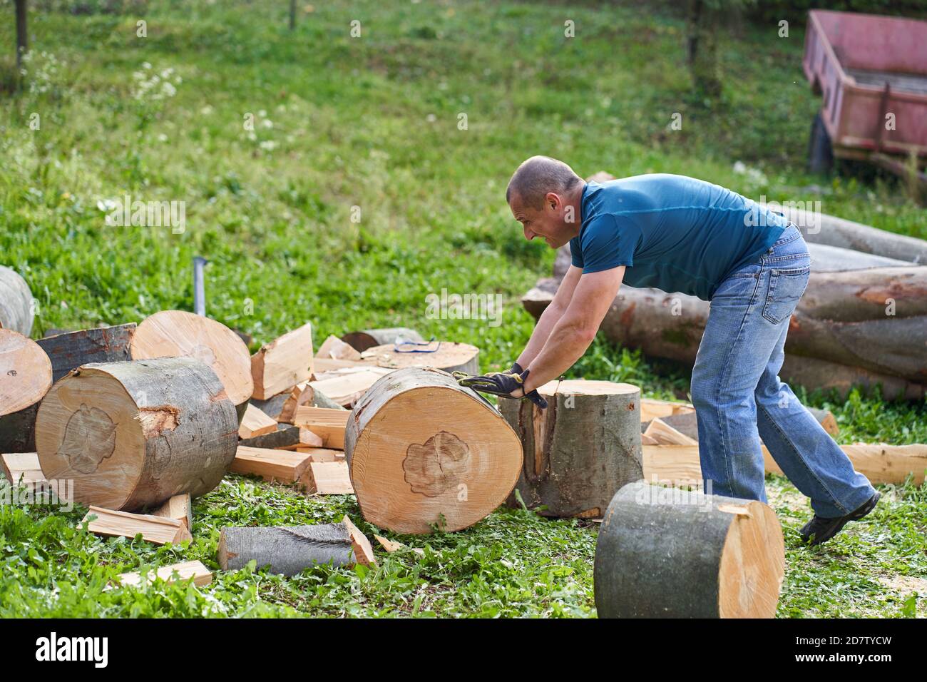 Strong lumberjack manhandling the logs Stock Photo - Alamy