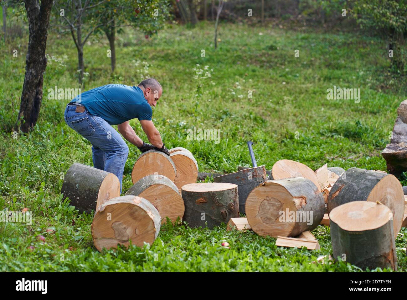 Strong lumberjack manhandling the logs Stock Photo - Alamy