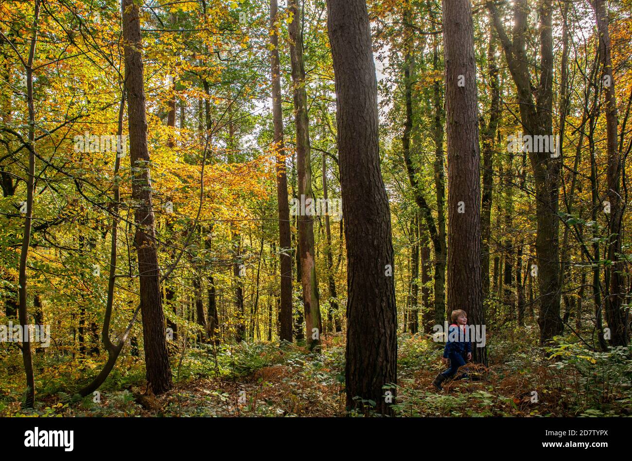 Skipton, North Yorkshire, UK. 25th Oct, 2020. Sunny weather in the ...