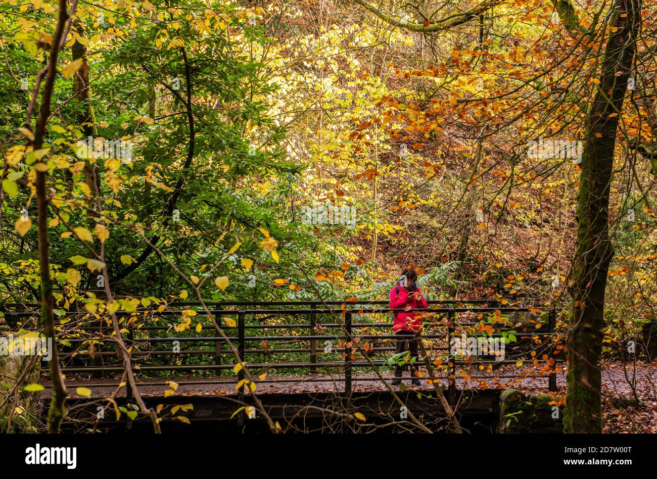 Skipton, North Yorkshire, UK. 25th Oct, 2020. Sunny weather in the ...