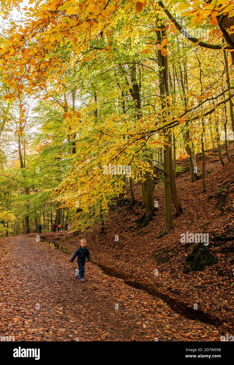 Skipton, North Yorkshire, UK. 25th Oct, 2020. Sunny weather in the ...