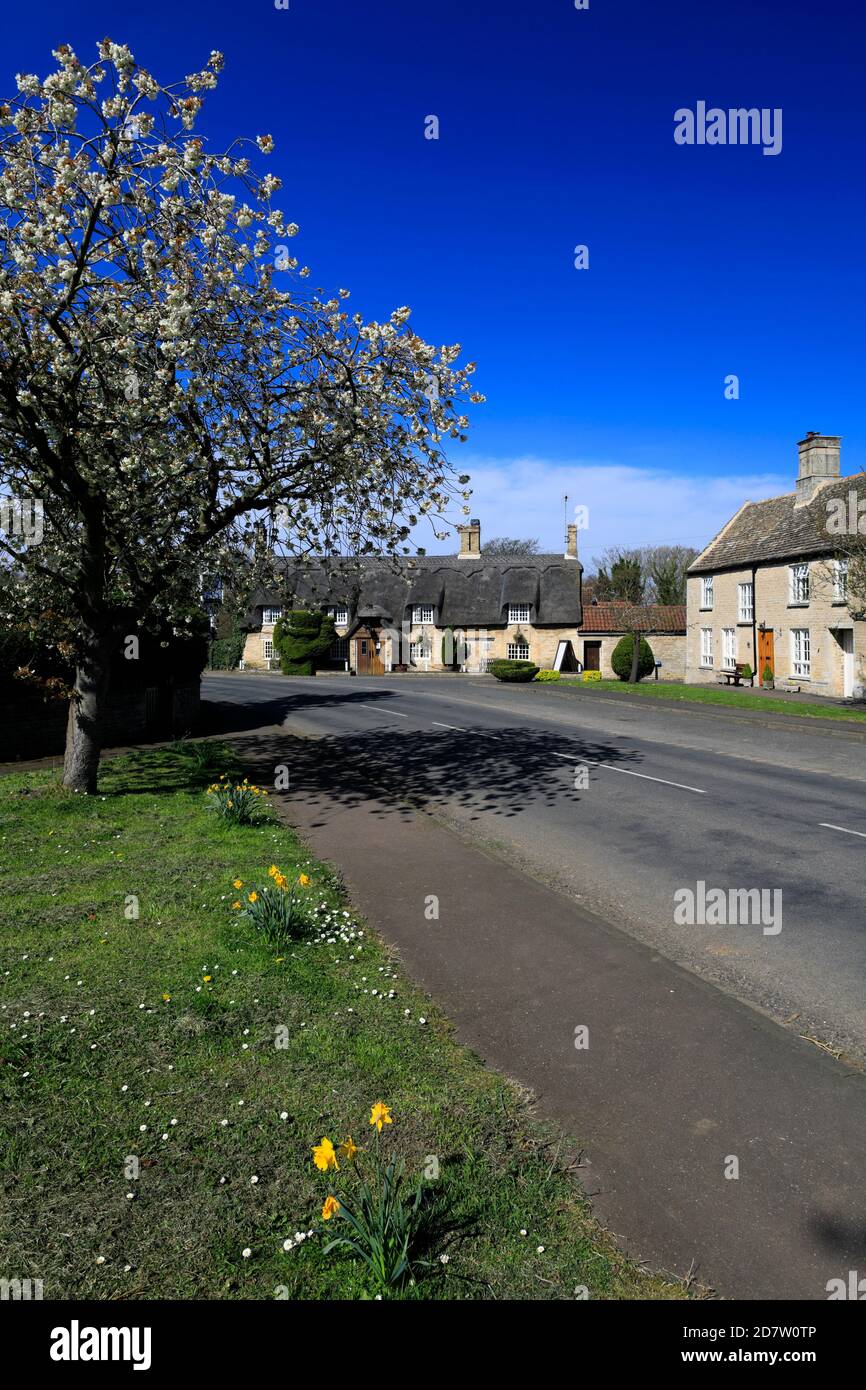 Summer; the Green Man Pub; Marholm village green; Peterborough ...