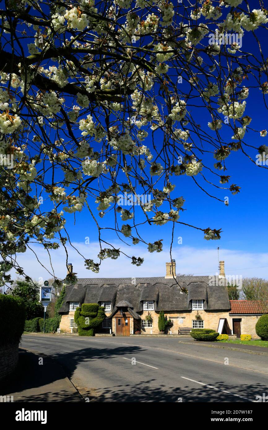 Summer; the Green Man Pub; Marholm village green; Peterborough ...