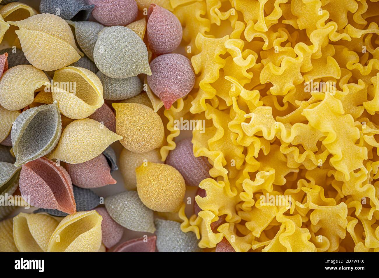 Colored Italian pasta in the shaped of seashells with yellow, pink, and ...