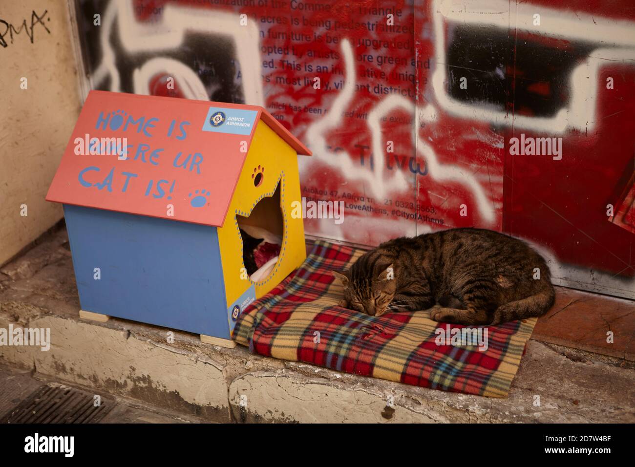 Athens greece cats hi-res stock photography and images - Alamy