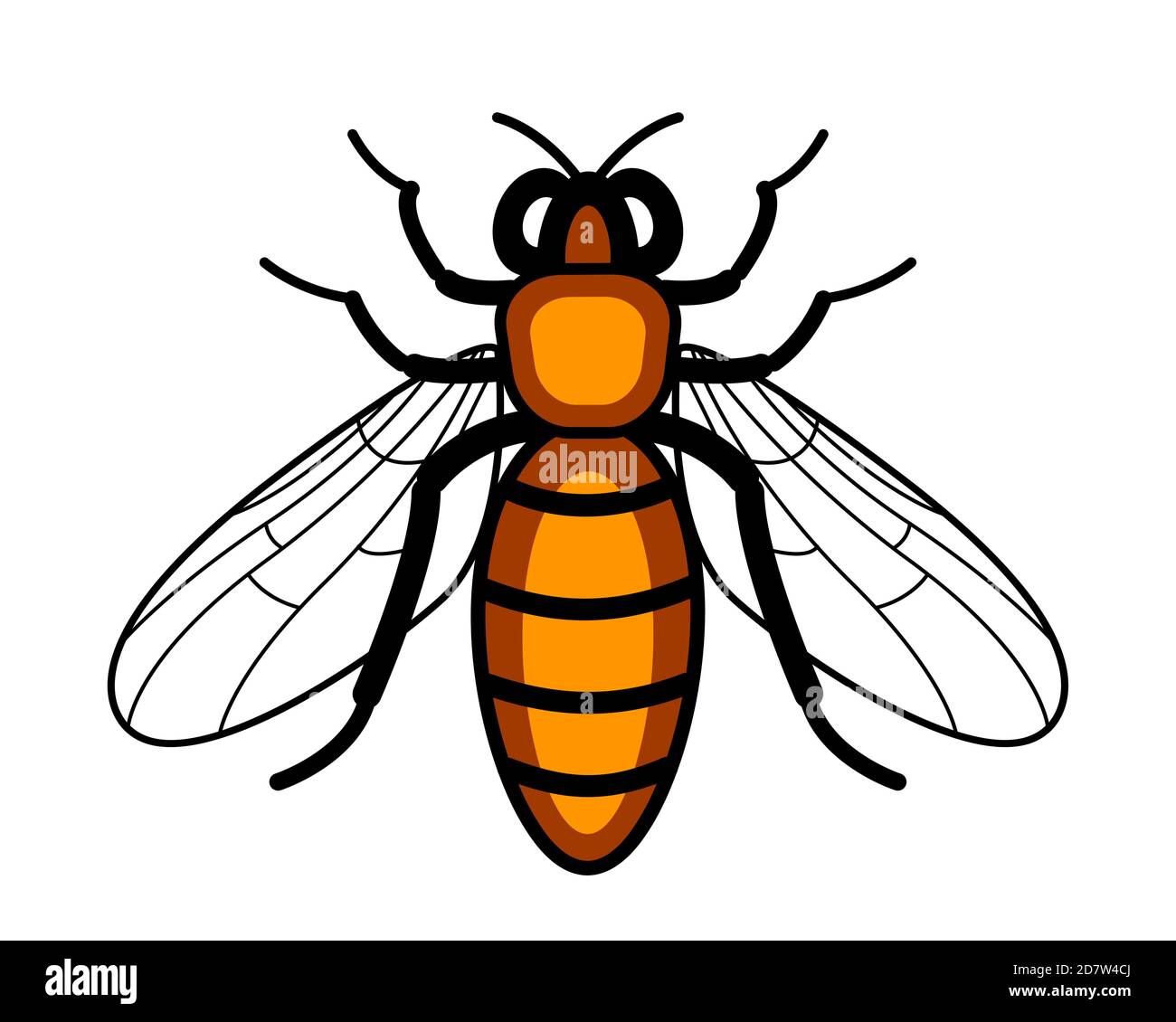 Illustration of the worker bee insect Stock Vector Image & Art - Alamy