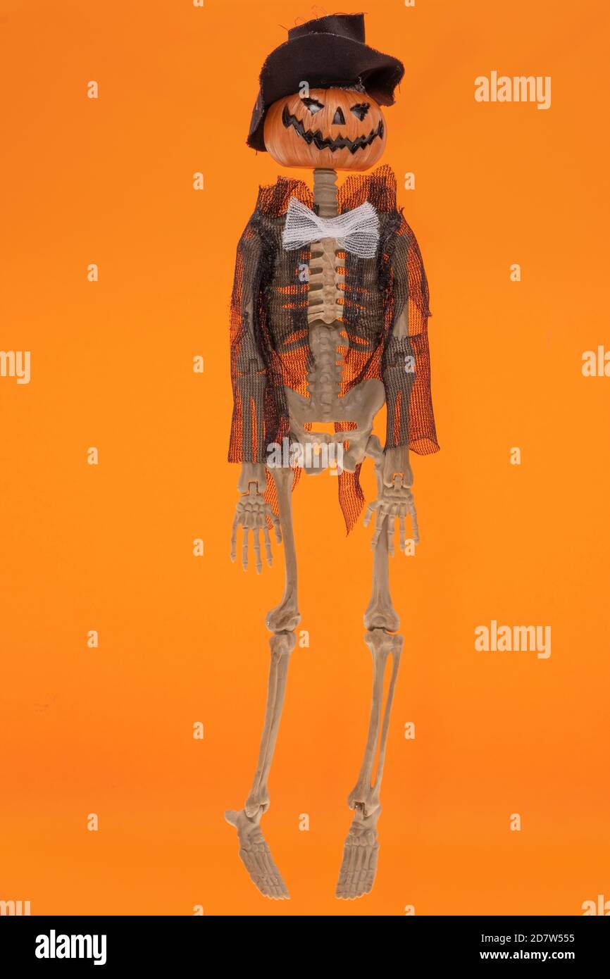 Halloween skeleton - orange background Stock Photo - Alamy