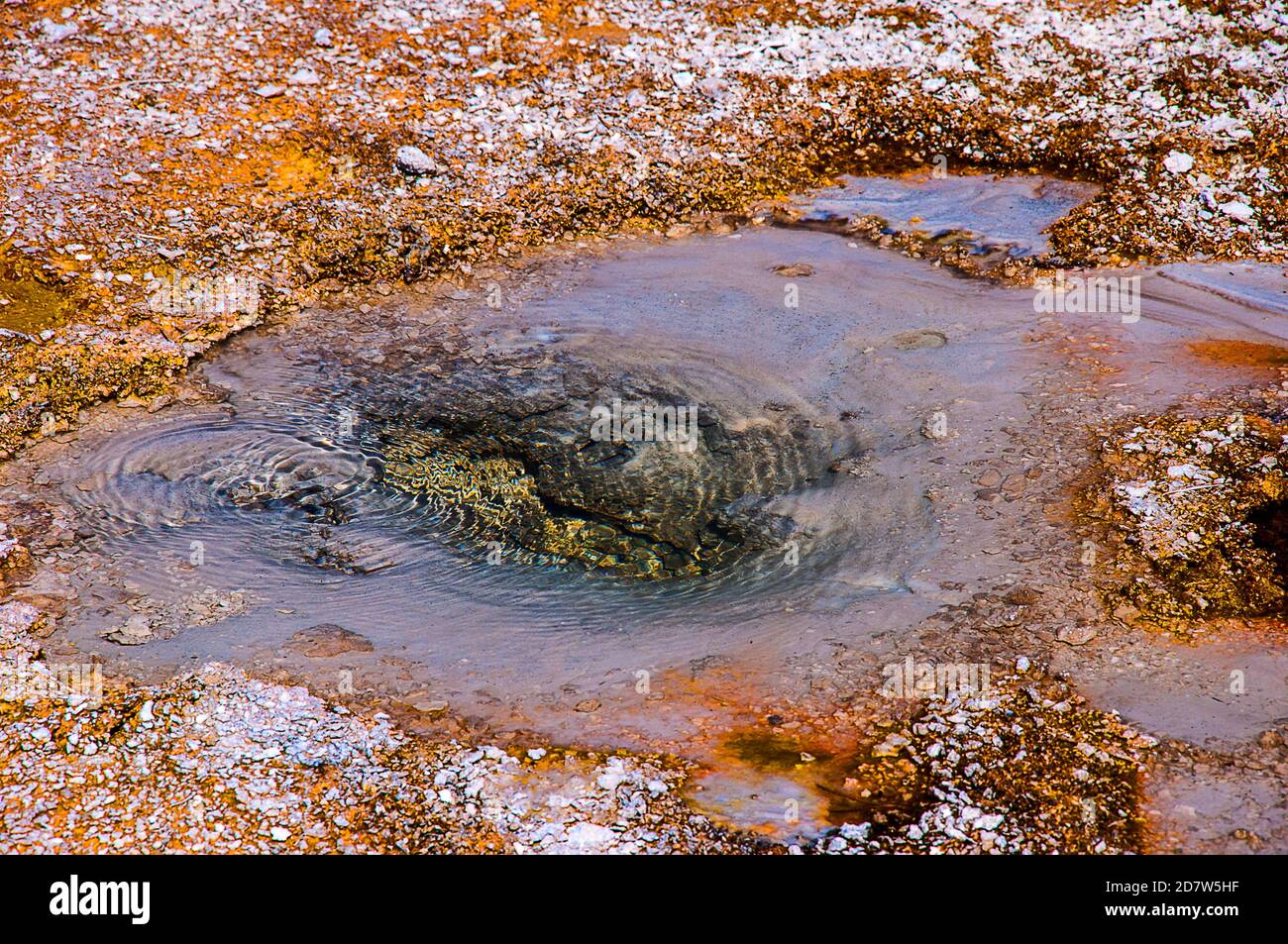 one of the geothermal pools of Yellowstone National Park. Yellowstone ...