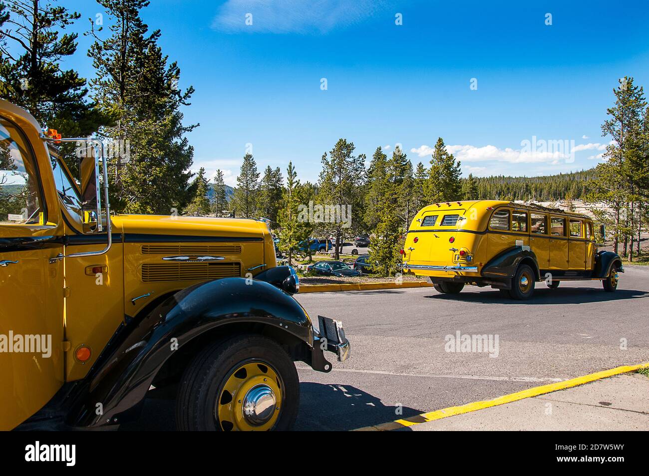 Yellowstone National park uses vintage yellow vehicles to transport ...