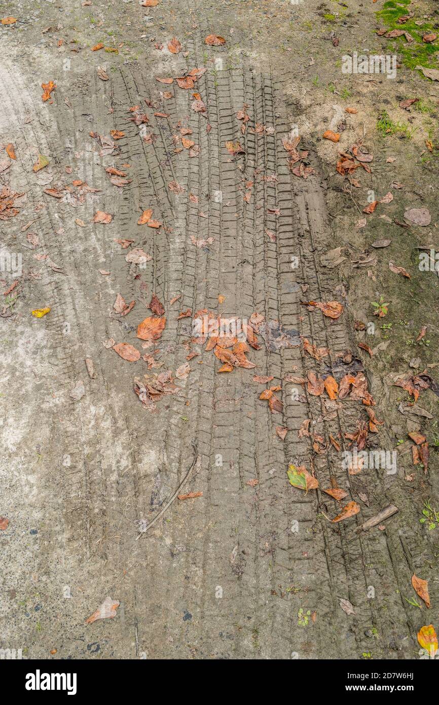 Tire tracks from cars hi-res stock photography and images - Alamy