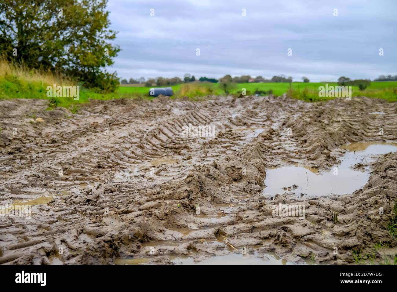 Muddy and water logged entrance to an arable field rural Norfolk Stock ...