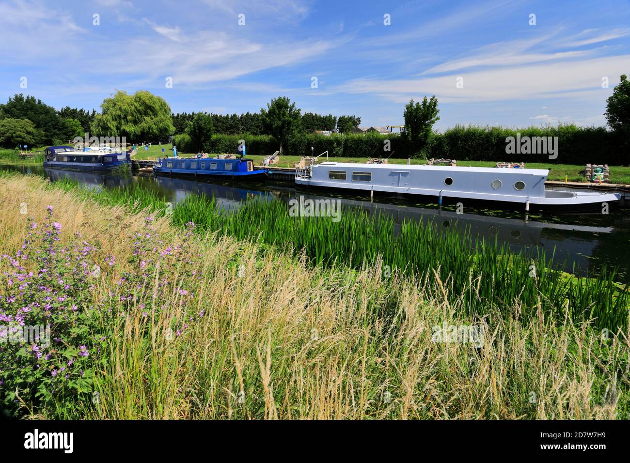Narrowboats at the Hermitage Marina, Earith village, Cambridgeshire ...