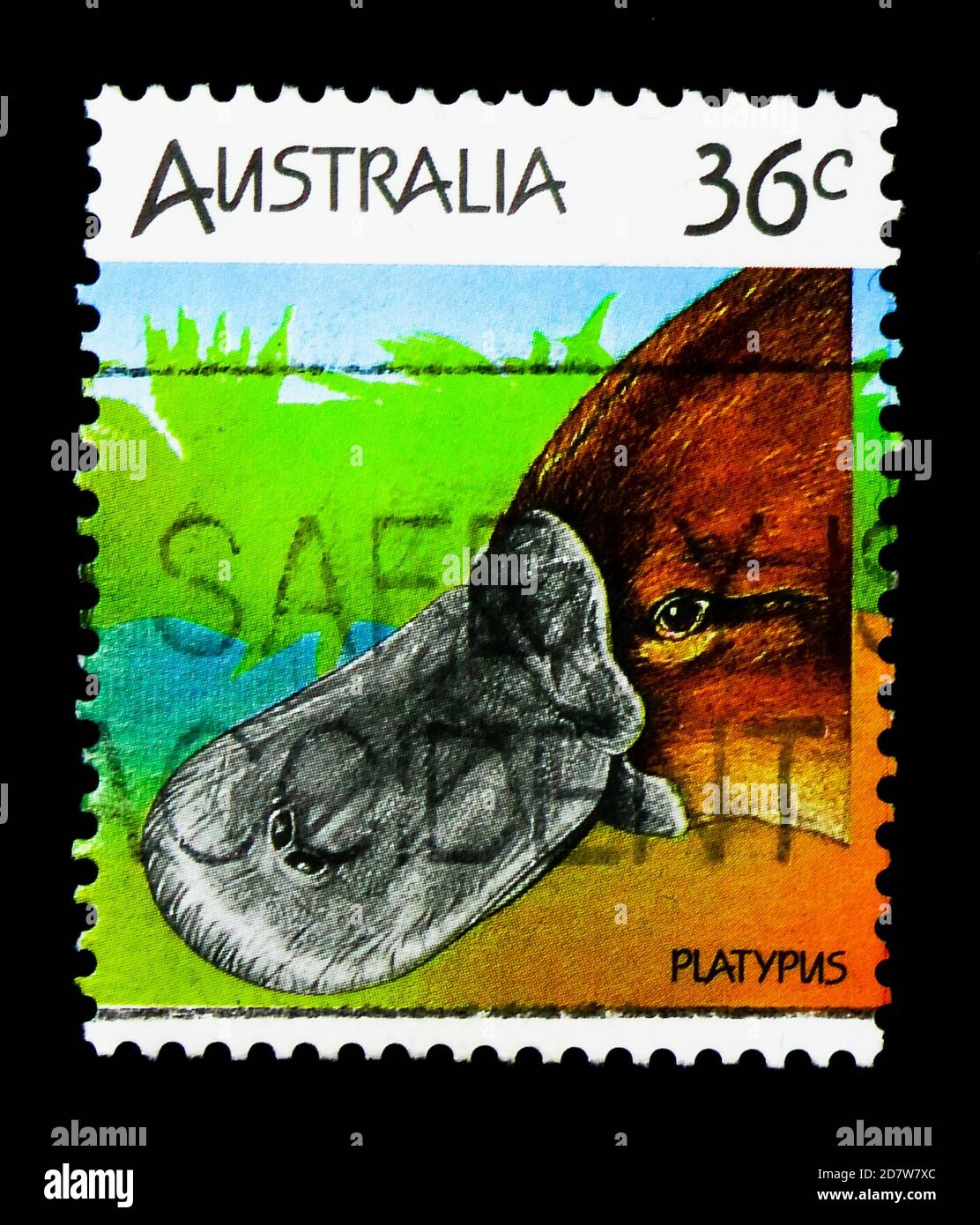 Platypus australia postage stamp hi-res stock photography and images ...