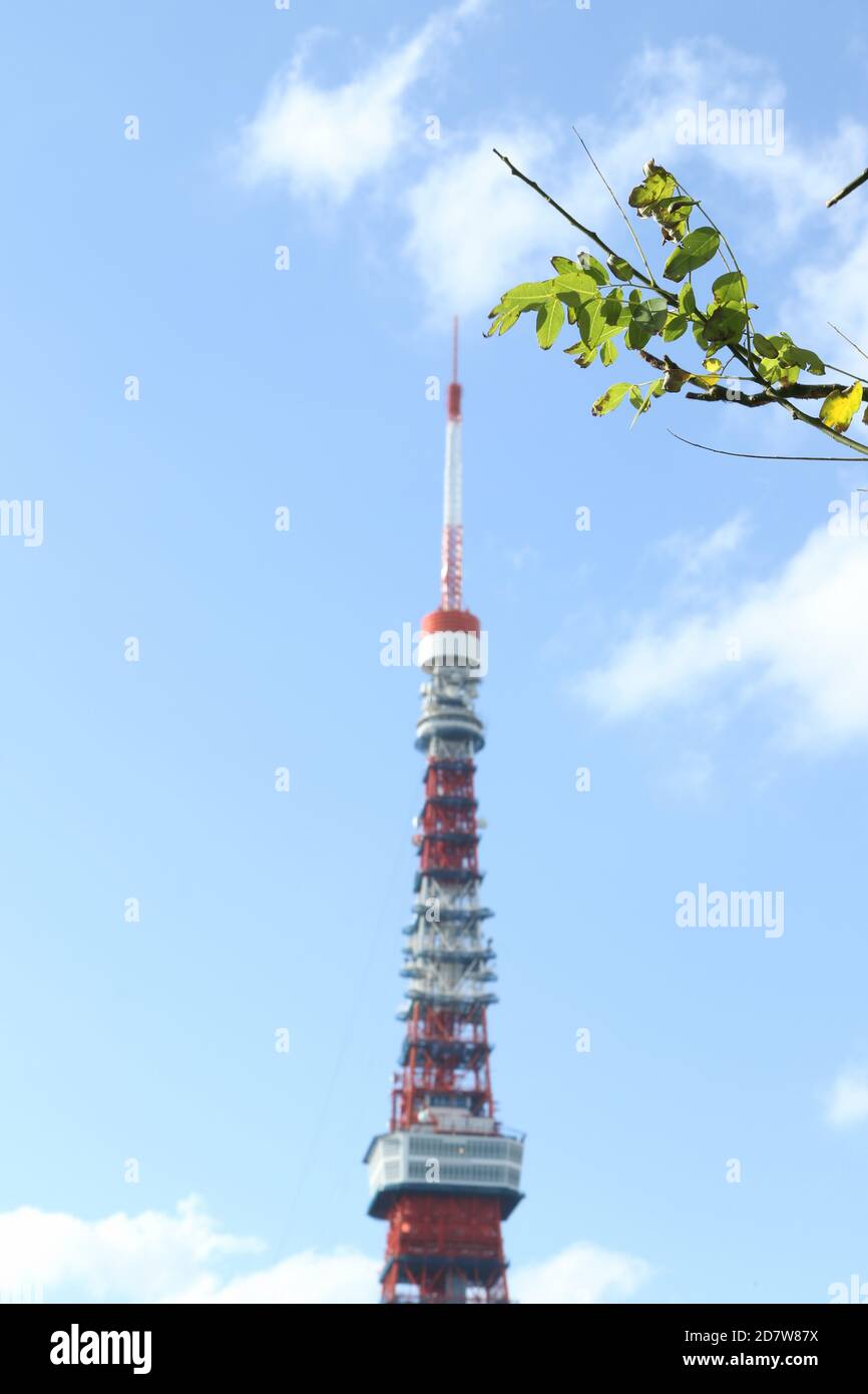 Tokyo Tower in front of blue sky with green leafes of a tree, Tokyo ...