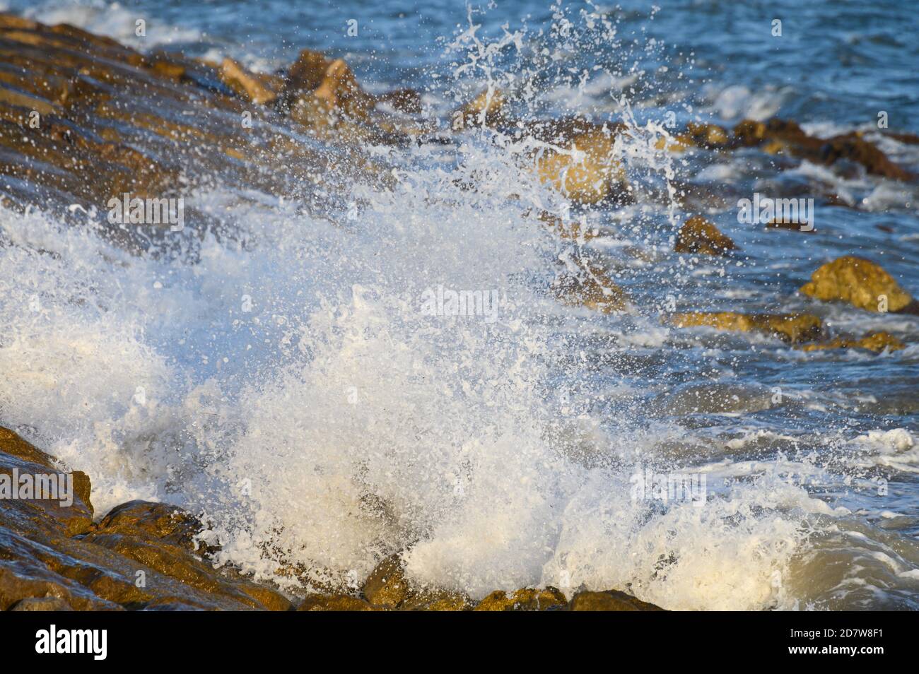 Splashing sea waves on sunrise in sun lights Stock Photo - Alamy