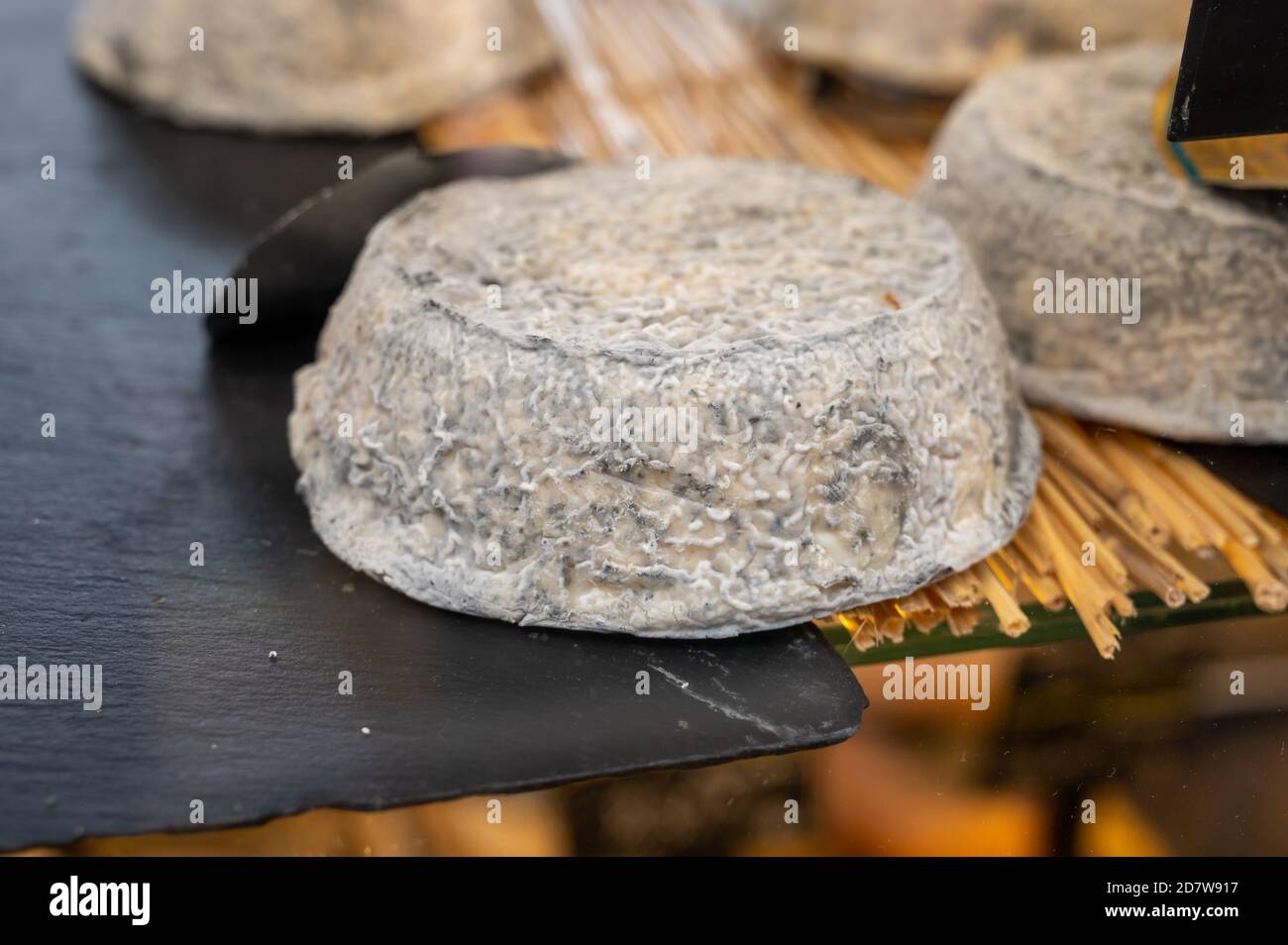 Cheese collection, French grey cheese made from goat milk in region ...