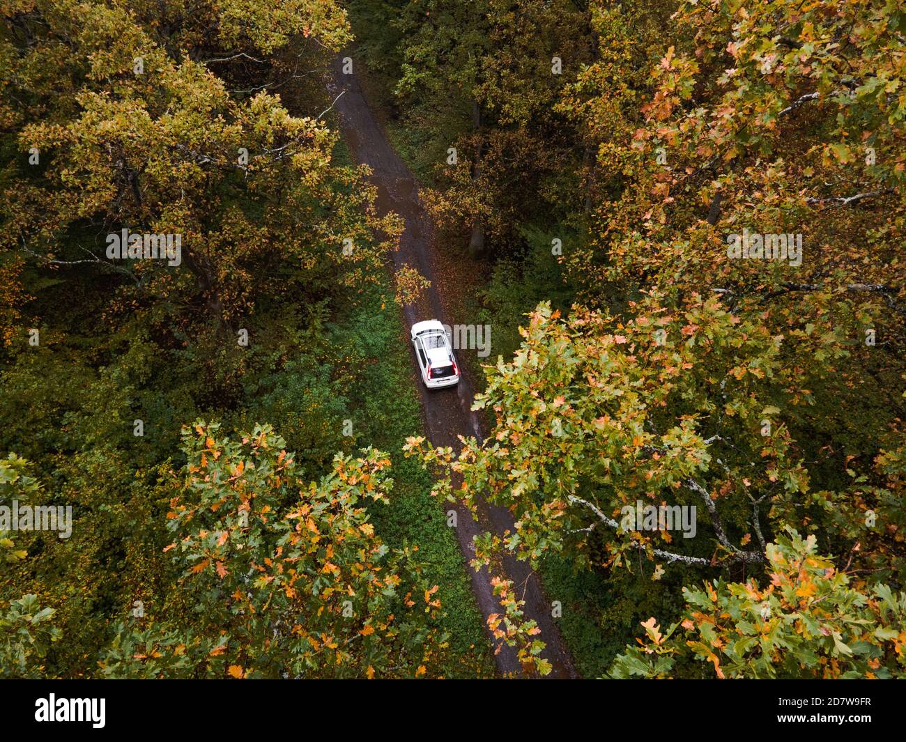 Top view car riding in hi-res stock photography and images - Alamy