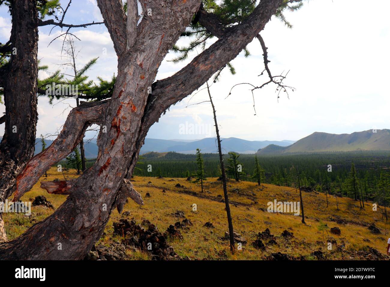 Khorgo volcano lava field in Khorgo-Terkhiin Tsagaan Nuur National Park ...
