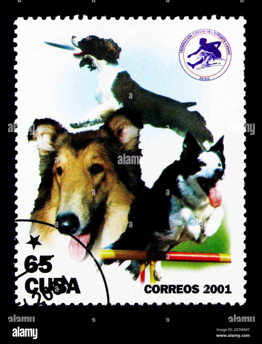 National dog of cuba hi-res stock photography and images - Alamy