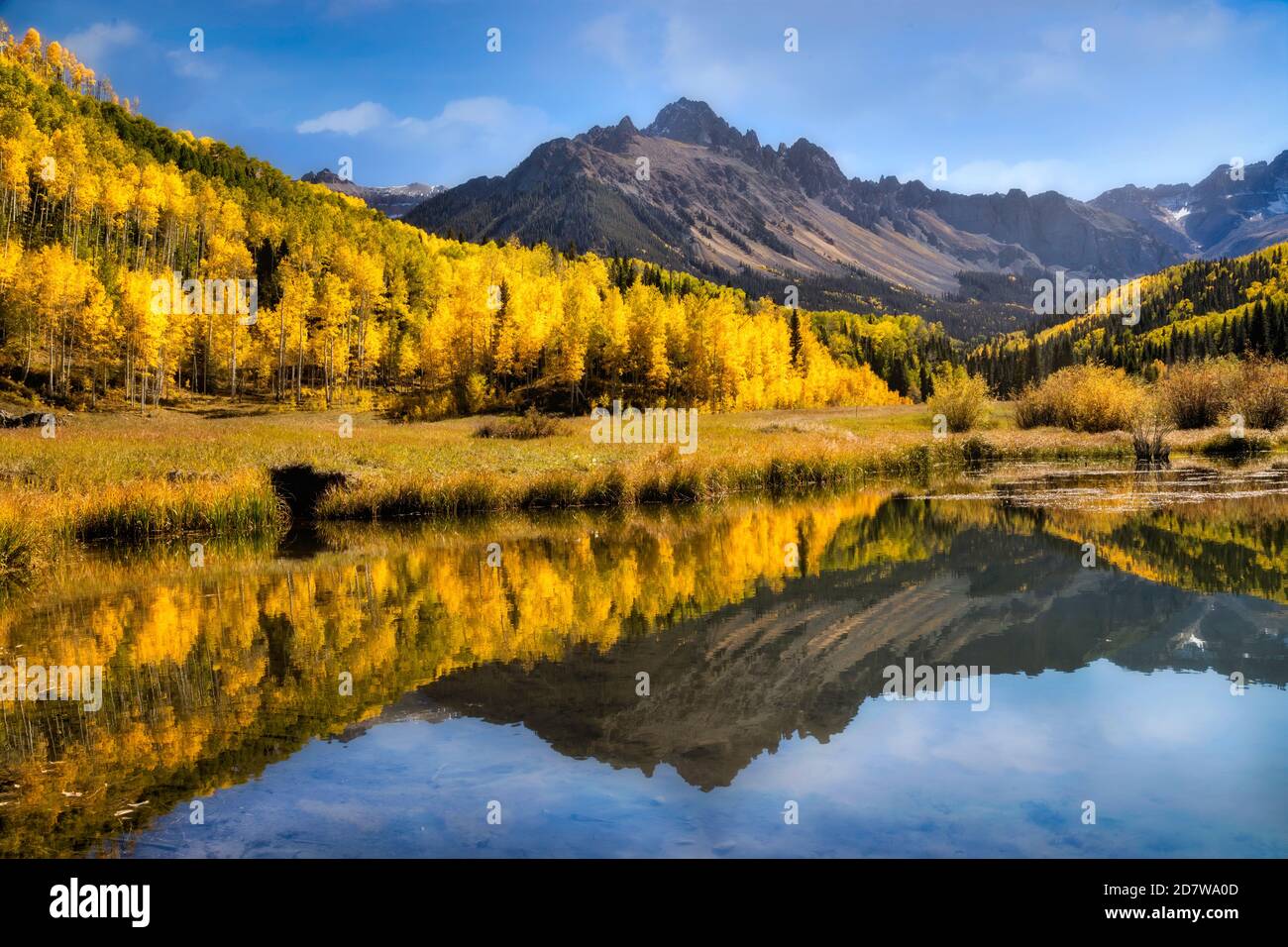 Mt Sneffels and Aspen trees reflecting in a beaver pond in the Colorado ...