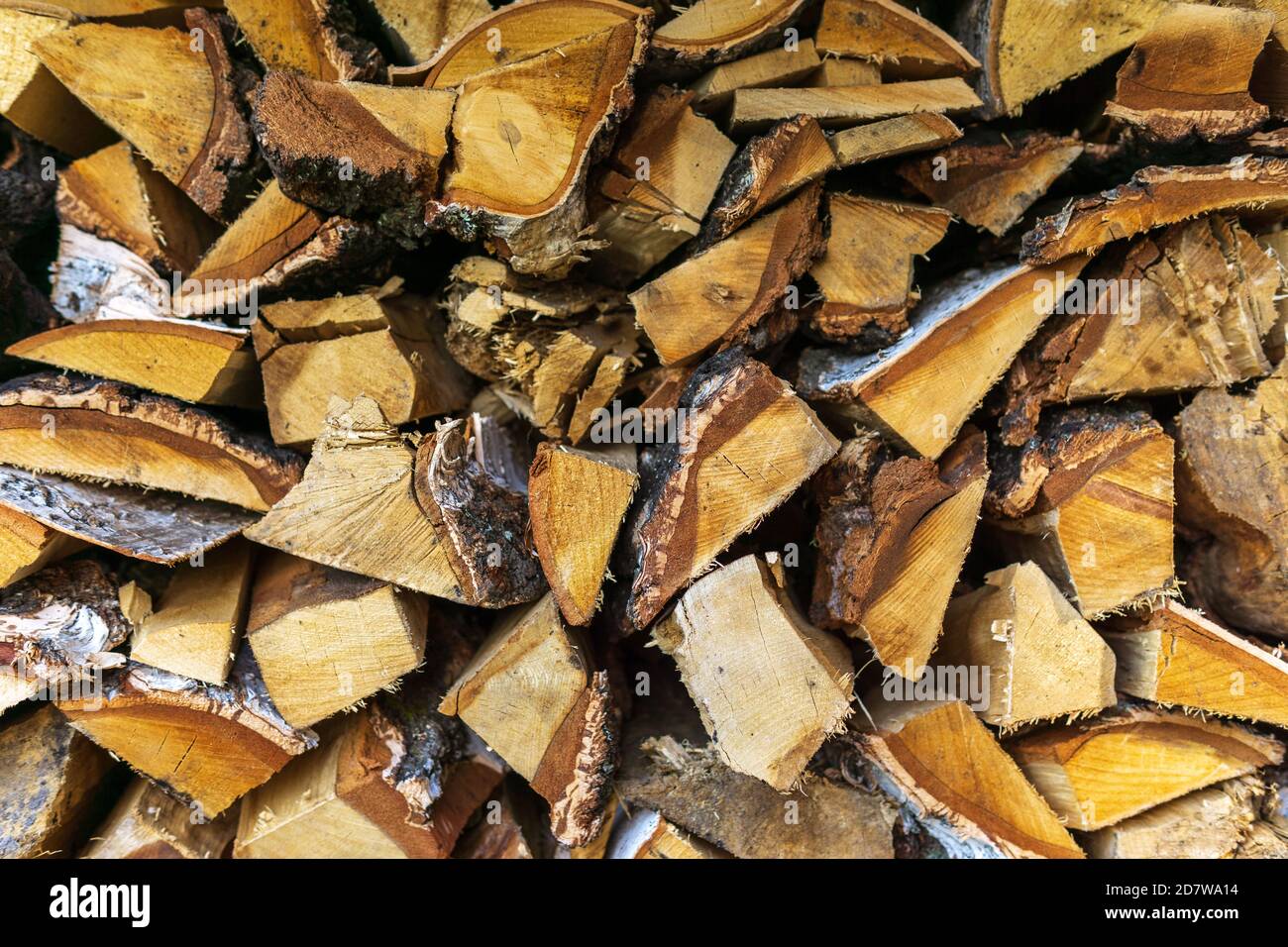 Pile wood. Deforestation theme. Wood industry. Chopped wood Woodpile ...