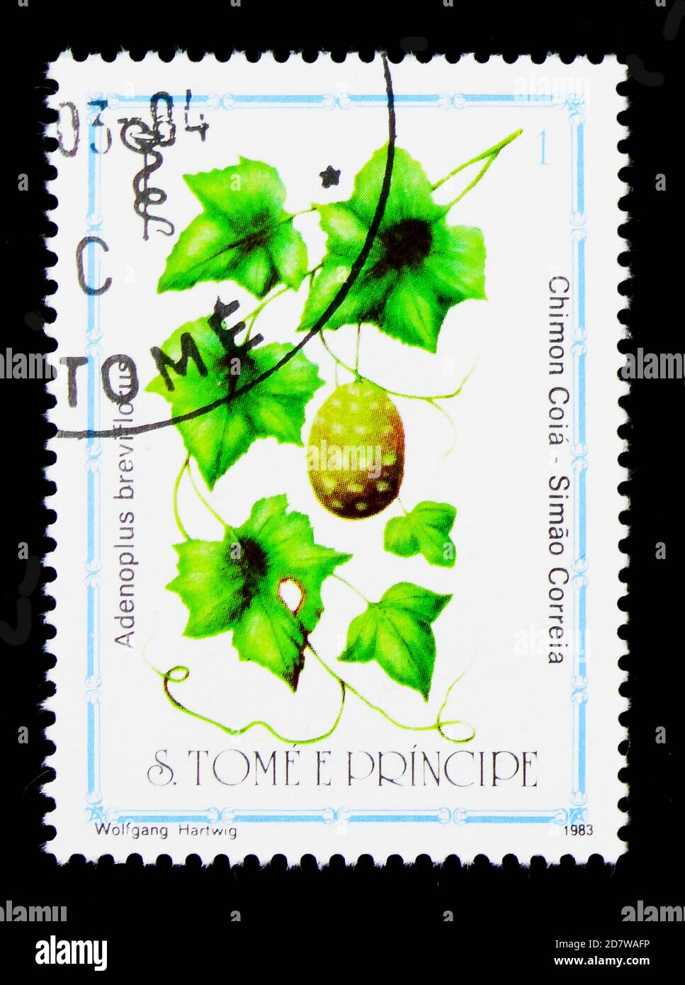 Adenoplus hi-res stock photography and images - Alamy