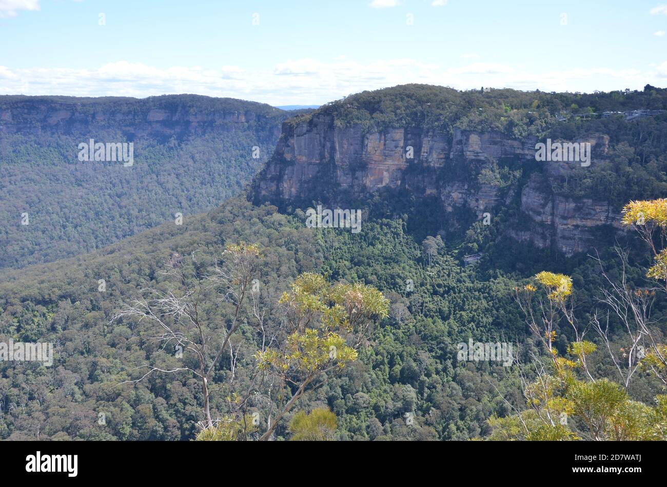 Jamison Valley, The Blue Mountains, NSW Stock Photo - Alamy