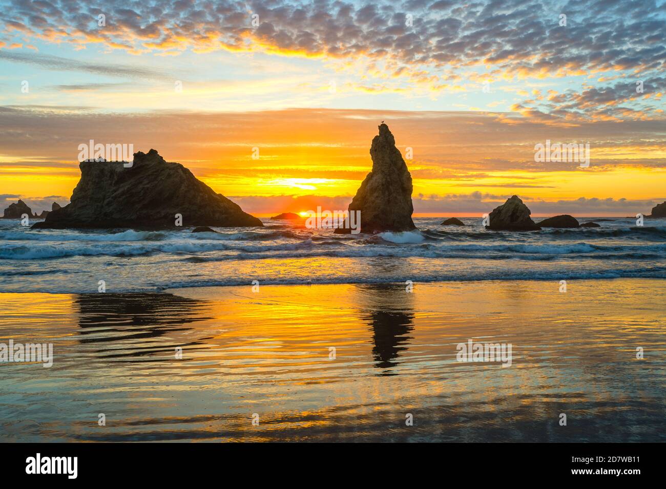 Bandon Beach at Sunset, Oregon-USA Stock Photo - Alamy