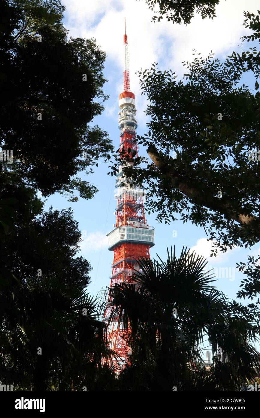 Silhouette of vegetation with Tokyo Tower in front of blue sky, Tokyo ...