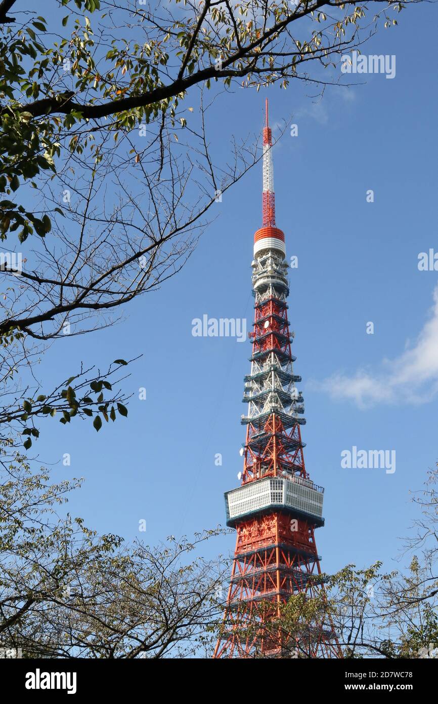 Tokyo vegetation hi-res stock photography and images - Alamy
