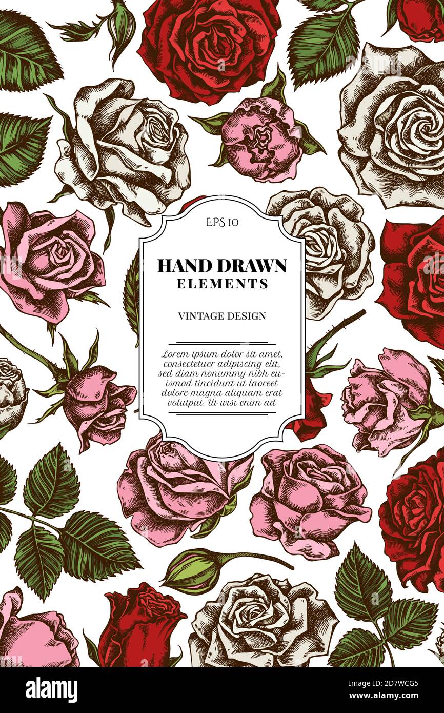 Card design with colored roses Stock Vector Image & Art - Alamy