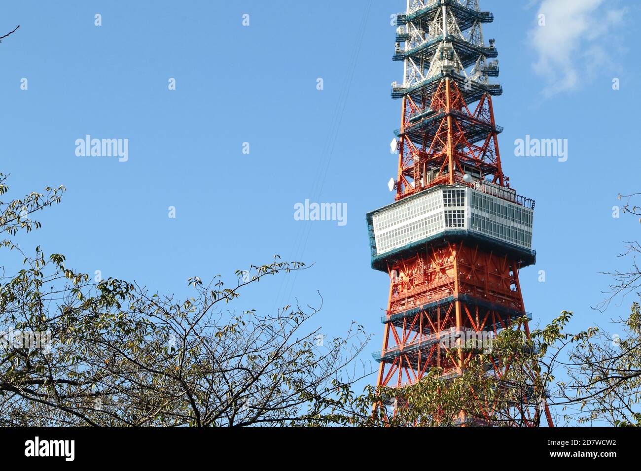 Tokyo Tower with vegetation in front of blue sky, Tokyo, Japan Stock ...