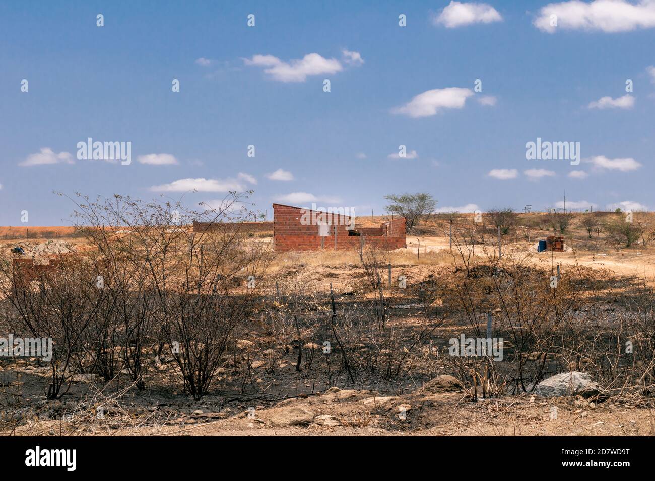 poor houses in the outback of Ceara in northeastern Brazil Stock Photo ...