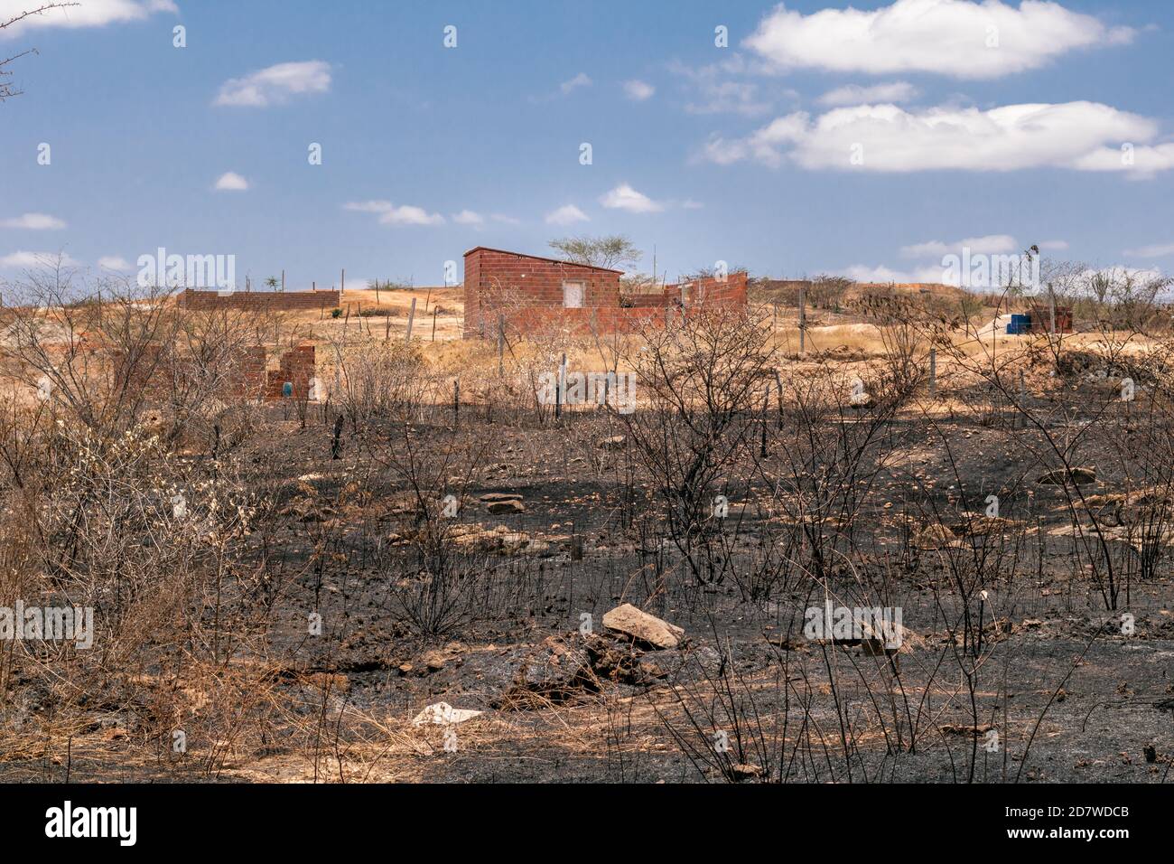 poor houses in the outback of Ceara in northeastern Brazil Stock Photo ...