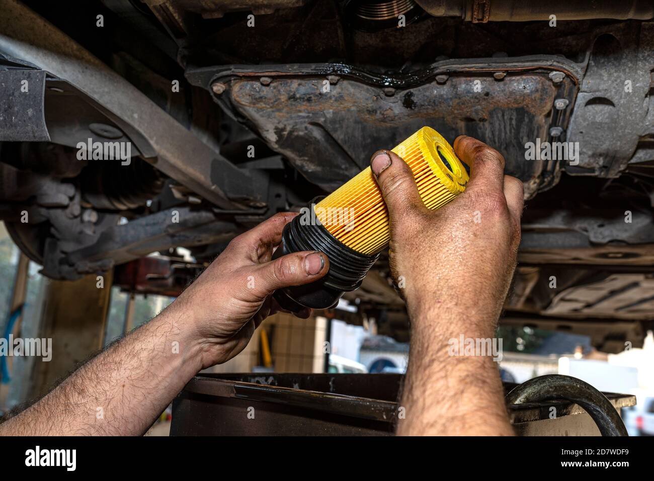 Car mechanic holding a new oil filter for a diesel engine in the ...