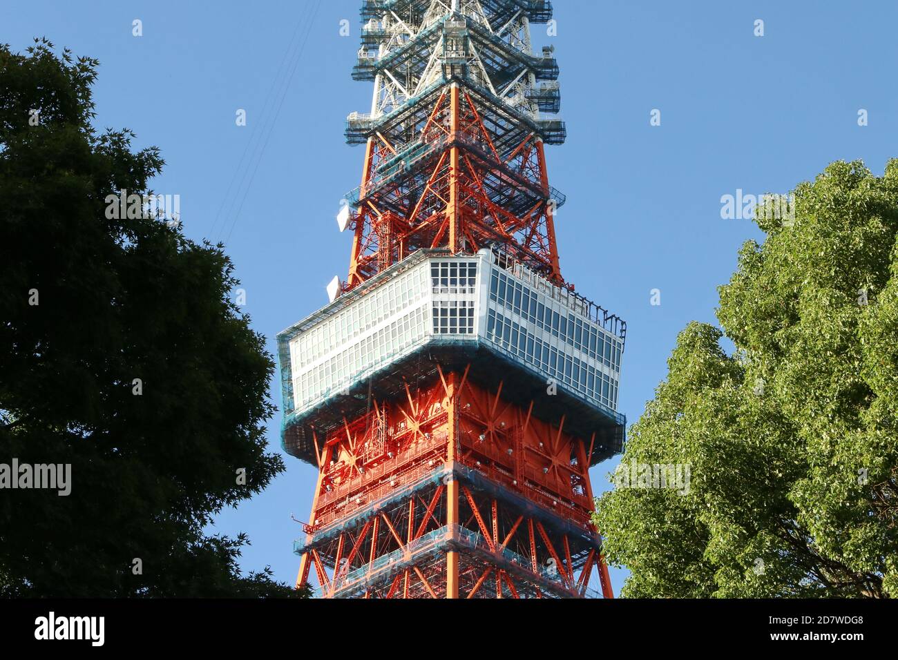 Tokyo Tower with vegetation in front of blue sky, Tokyo, Japan Stock ...
