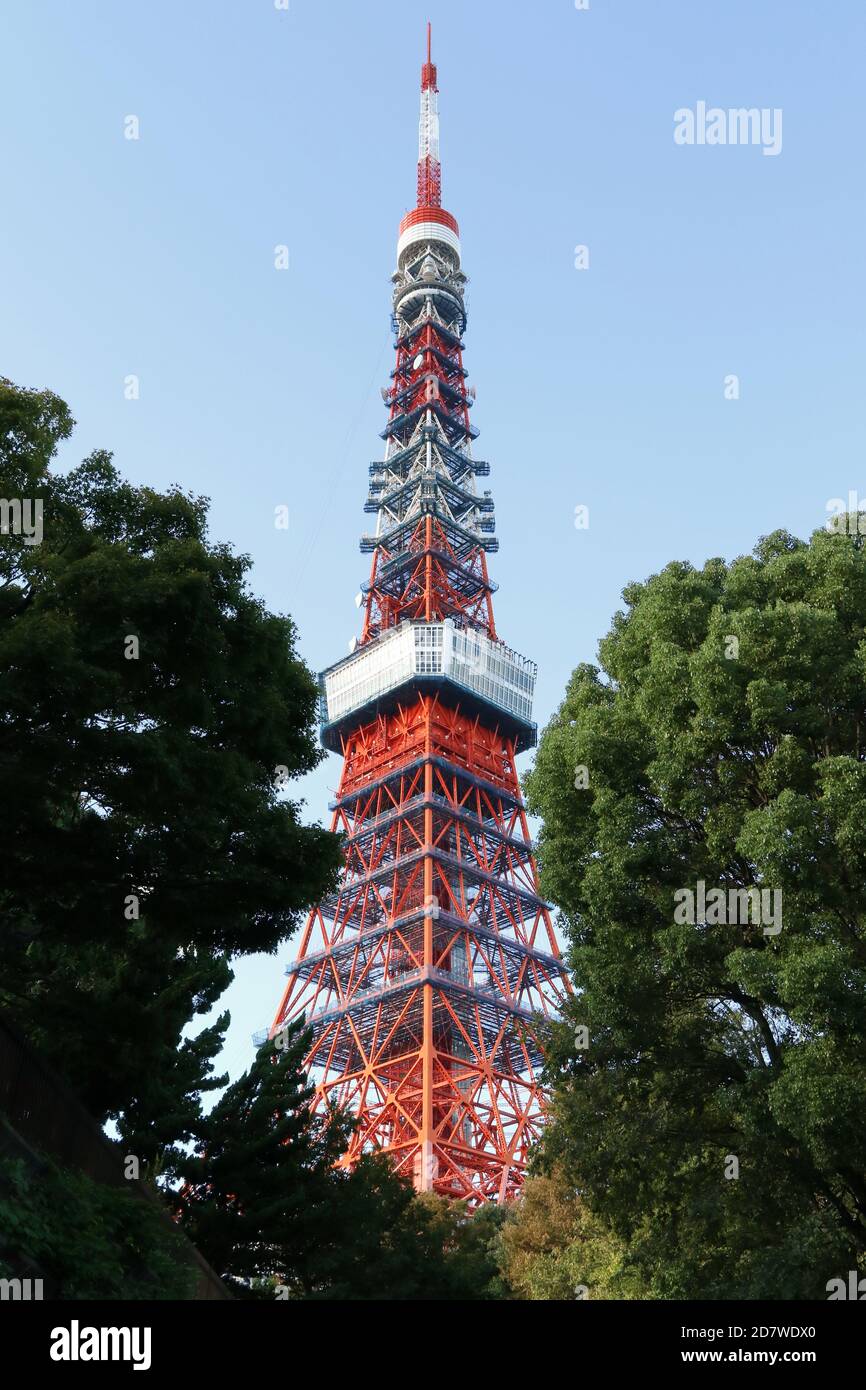 Tokyo Tower with vegetation in front of blue sky, Tokyo, Japan Stock ...