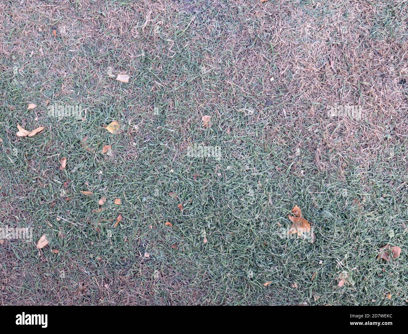 Grass dirt overhead hi-res stock photography and images - Alamy