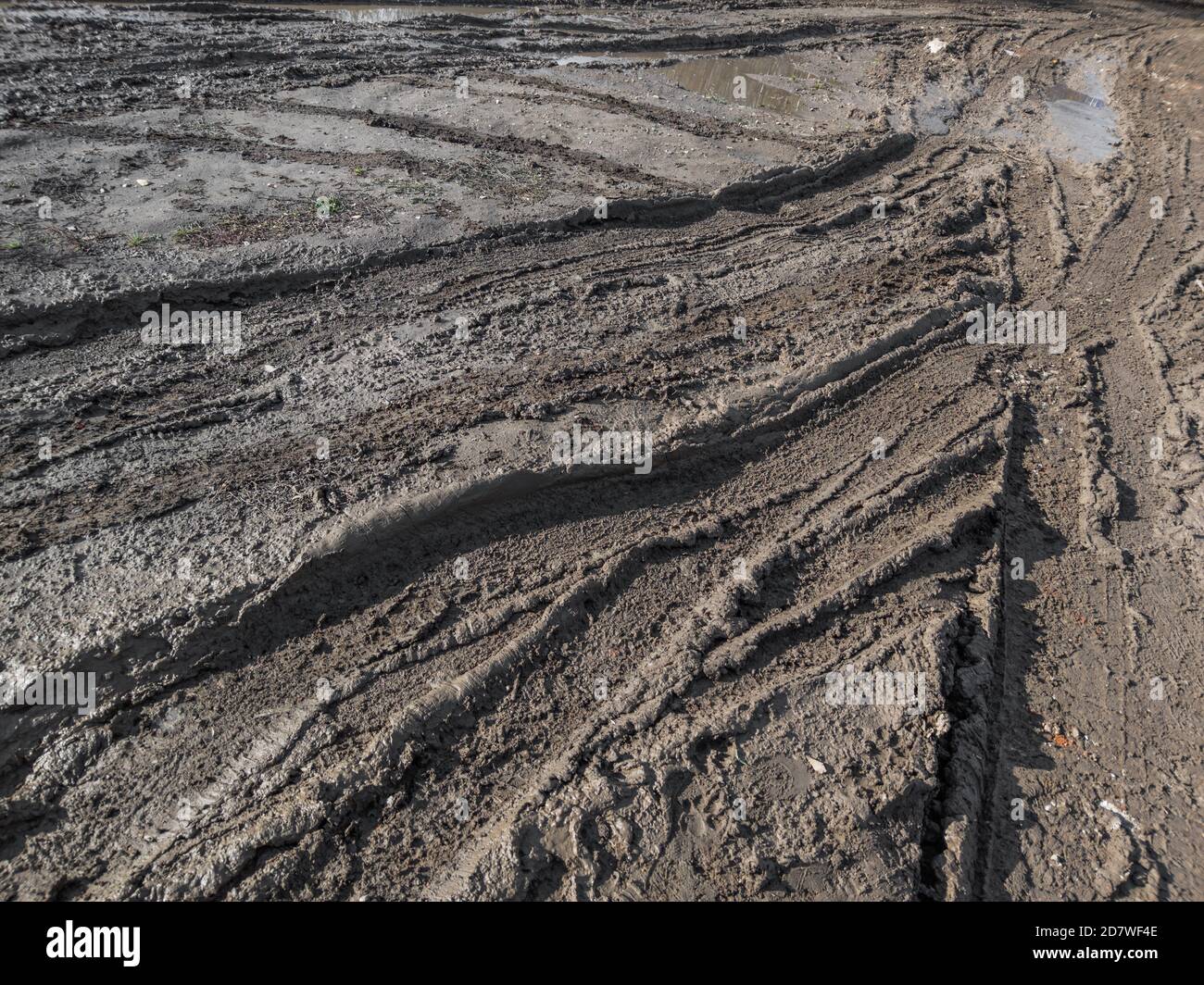 close-up full frame view of wet muddy dirt road at evening sun light ...