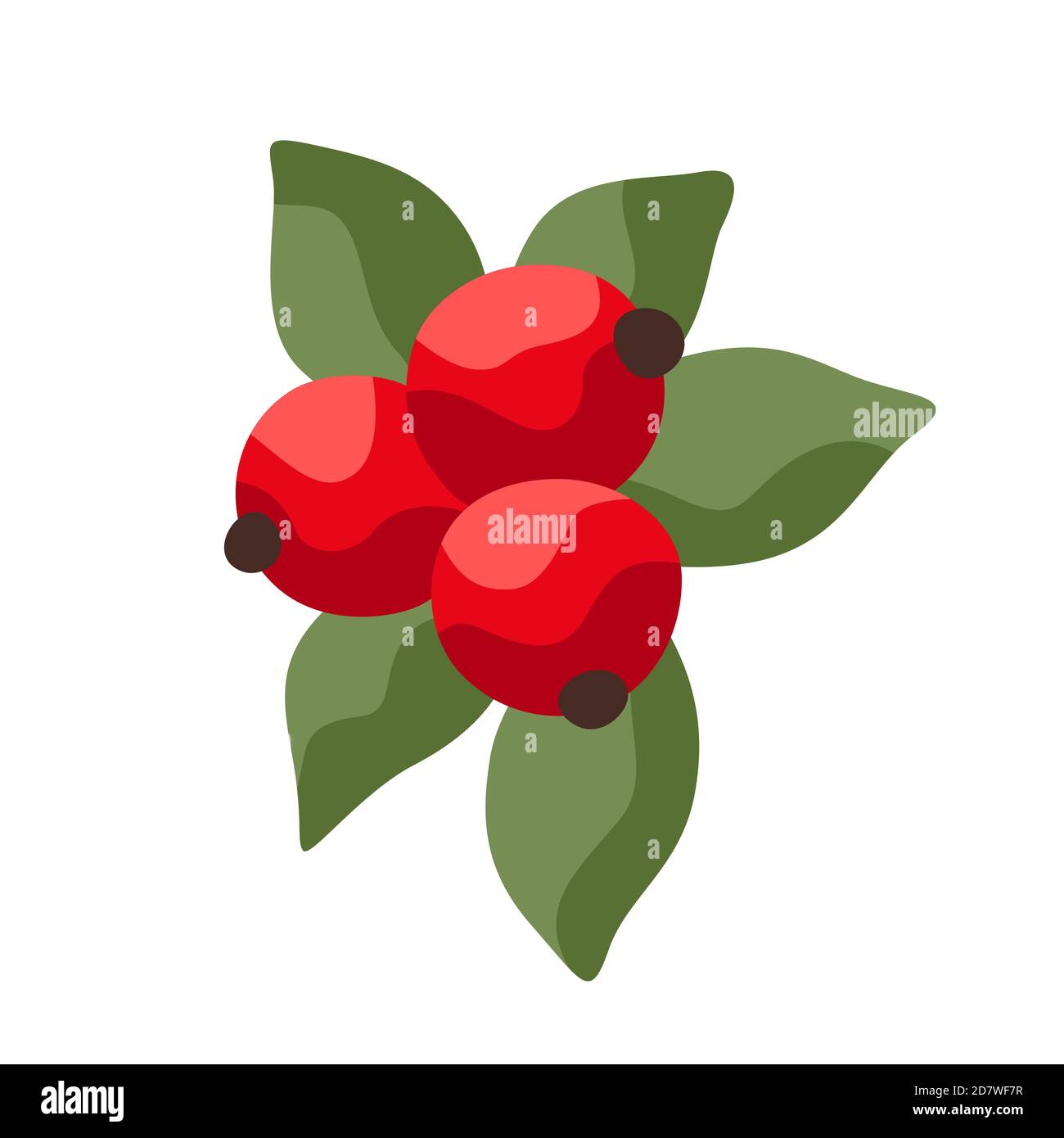 Cartoon illustration of ripe cranberries Stock Vector Image & Art - Alamy