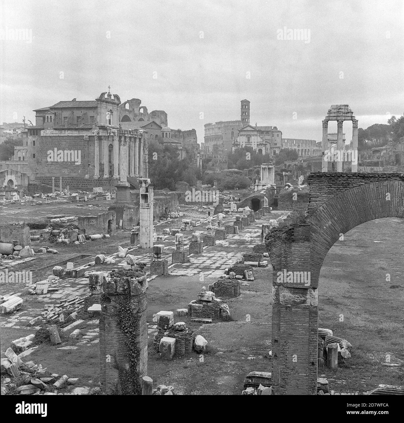 The roman forum in October 1951, Rome, Italy Stock Photo - Alamy