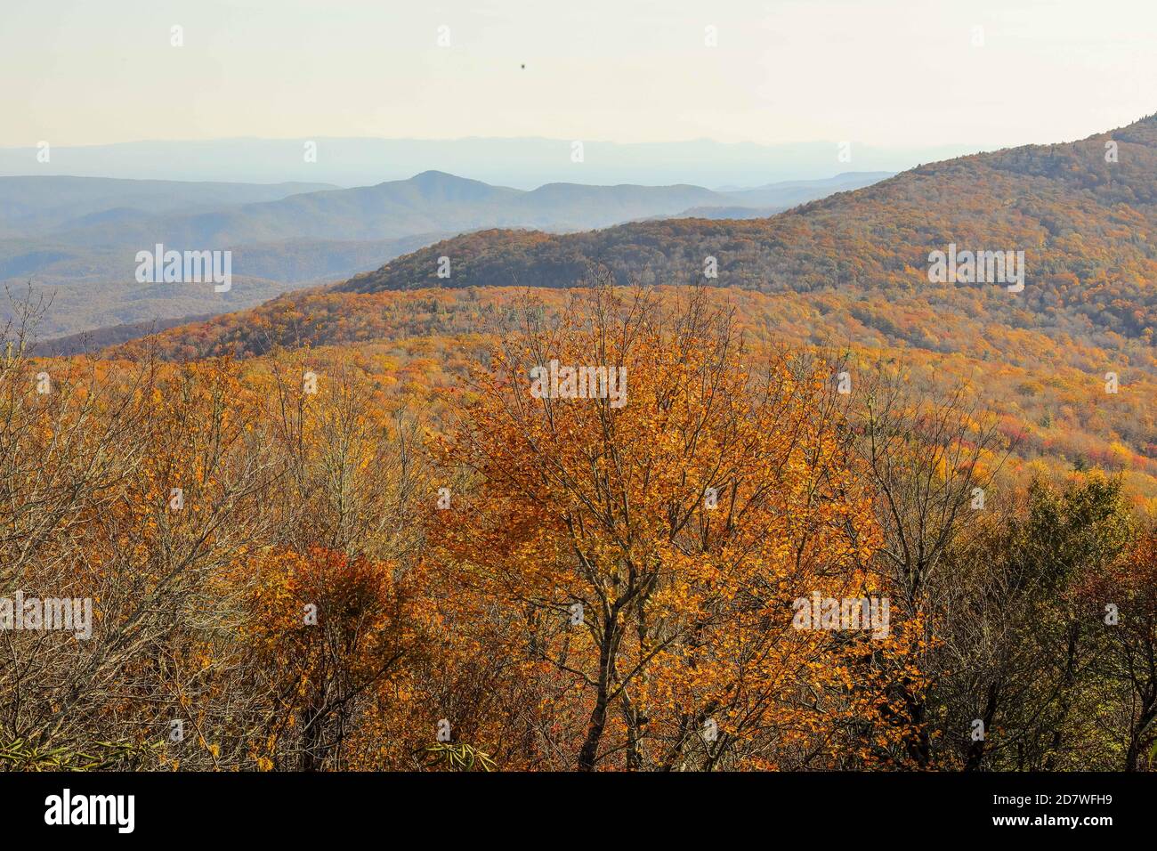 Scenic Blue ridge Mountains of United States Stock Photo - Alamy