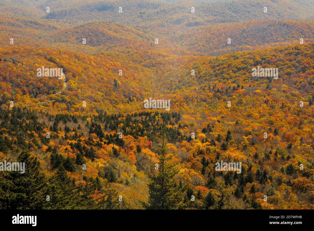 Scenic Blue ridge Mountains of United States Stock Photo - Alamy