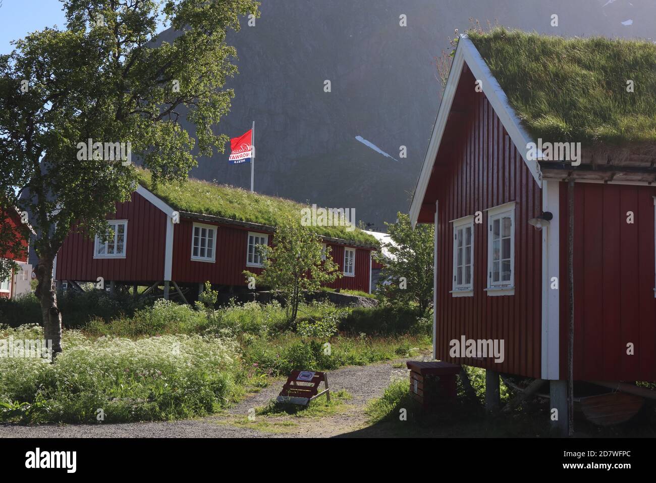 Reine / Norway - June 15 2019: Red cabins, called Robu / Rorbuer in ...