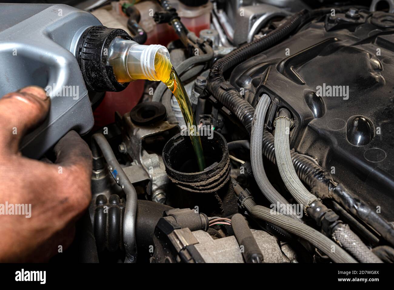 Car mechanic pours new car oil into the engine from a plastic tank in a ...